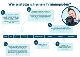 Trainingsplan | Hund alleine lassen mit Larissa
